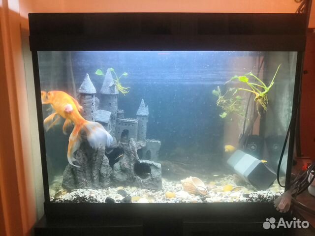 Аквариум 120 литров. с рыбами