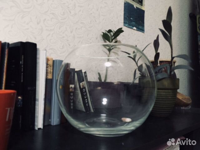 Аквариум/ваза