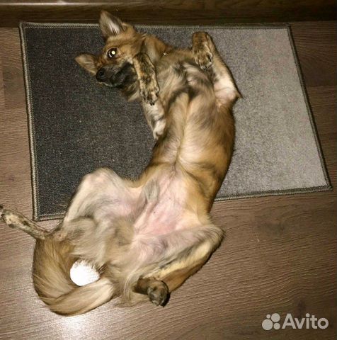 Вязка