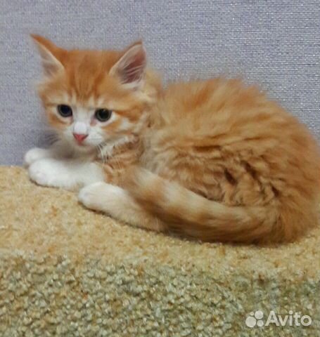 Классный пацан