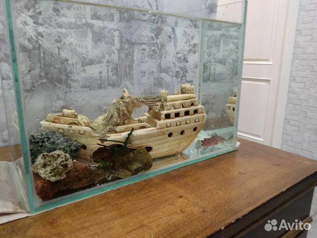 Аквариумные рыбки