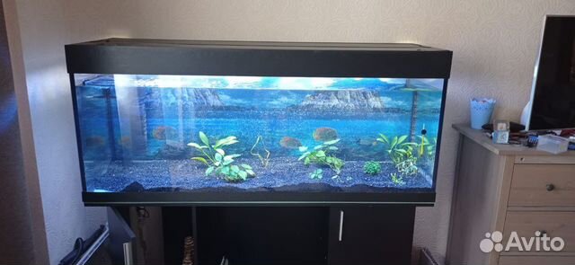 Аквариум с тумбой 450л