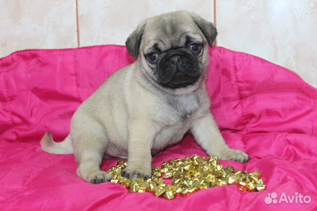 Очаровательные малыши