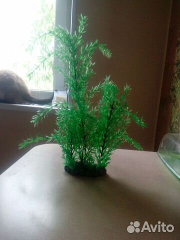 Искуственные водоросли для аквариума