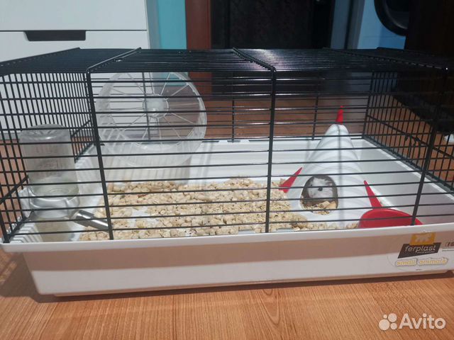 Джунгарик с клеткой