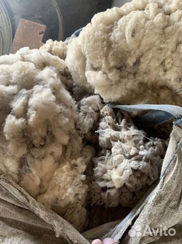 Шерсть овечья меринос