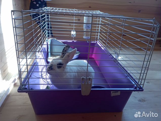 Клетка + кролик
