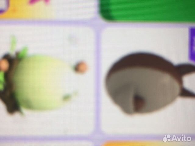 Петы адопт ми