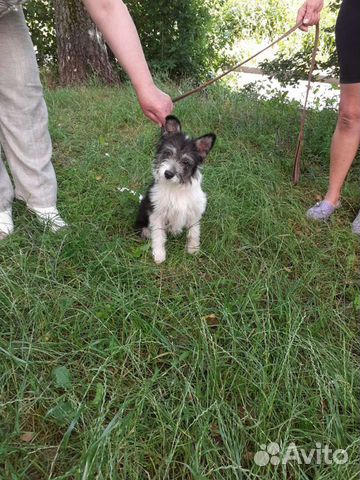 6кг счастья-Василиса