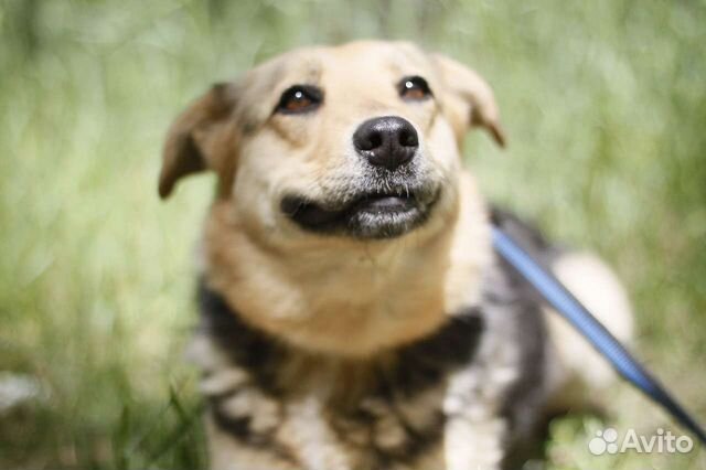 Спасти и дать веру в семью