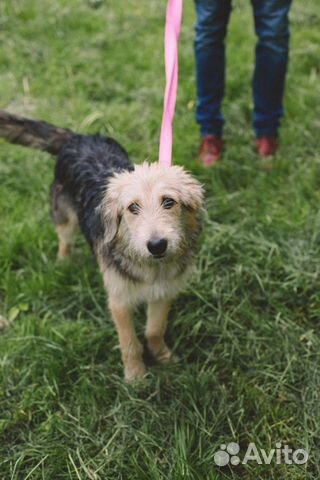 Ева ищет свою семью